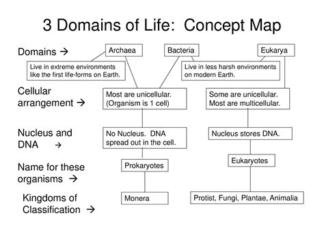 3 Domains Of Life Concept Map Docsity