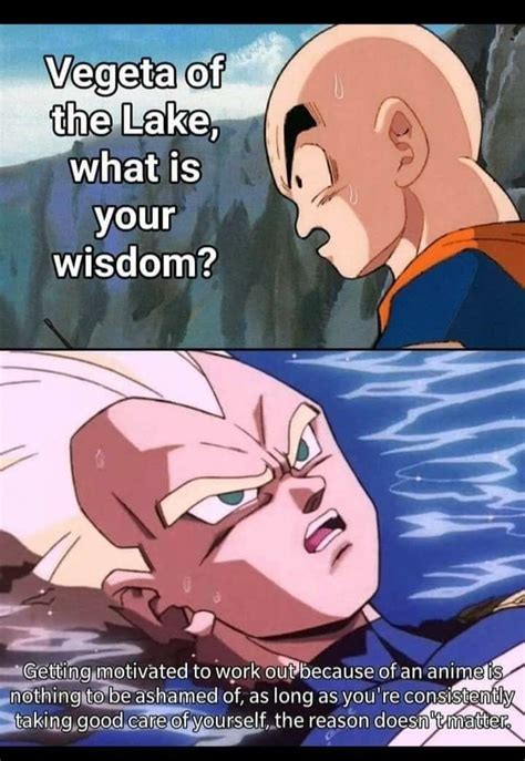 Wise Words From Vegeta Of The Lake Vegeta Funny Quotes Dragon Ball