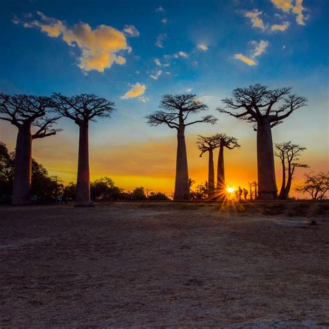 Lessons From Africas Leaders Mckinsey