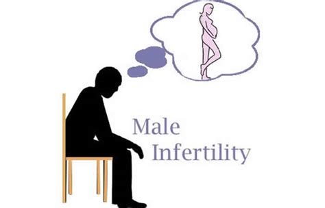 Too Much Sex Can Prevent A Man From Impregnating A Woman Expert Punch Newspapers