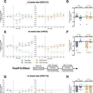 Sex Differences In Amygdala Neuron Firing Rate Following Stress A And B Download Scientific
