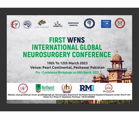 International Global Neurosurgery Conference Pans