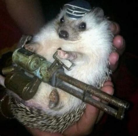 Terrene 18 By Cri Ten