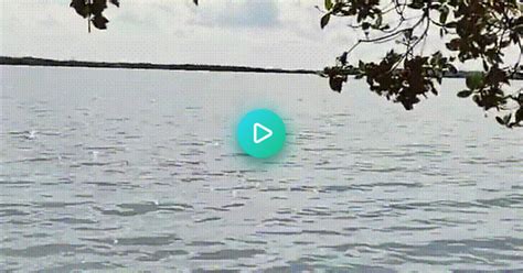 Tim At Marco Island 10 Thousand Islands  On Imgur