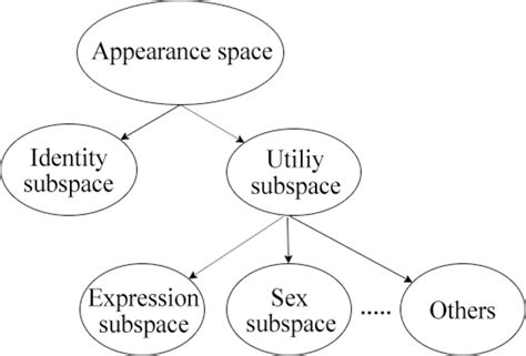 illustration of appearance subspace decomposition download scientific