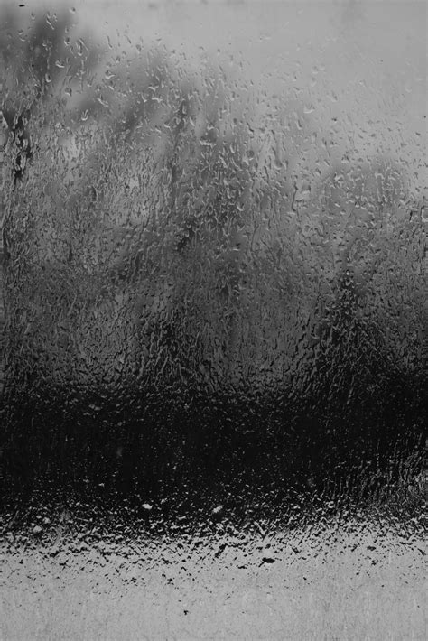 The Frozen Spring Trevor Connell