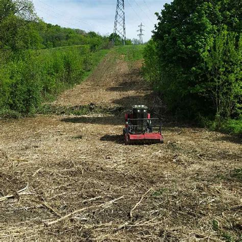 Services Compass Creek Consulting