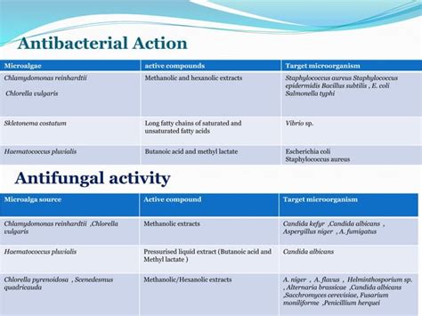 Bioprospecting Of Microalgae For Bioactive Secondary Metabolites Pptx Biological Sciences