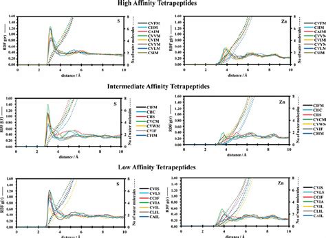 Radial Distribution Functions Rdfs And Cumulative Number Of Water Download Scientific