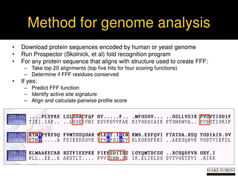 Ppt Structure Based Analysis Of Protein Function Powerpoint Presentation Id1123003
