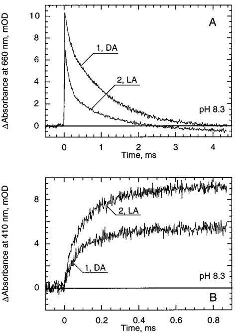 Effect Of Light Adaptation On The Amplitude And Kinetics Of The