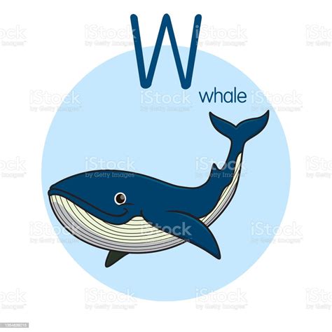 알파벳 문자 W 어퍼 케이스 또는 어린이 학습 연습 Abc에 대 한 대 문자와 고래의 벡터 그림 새날치류에 대한 스톡 벡터 아트 및 기타 이미지 Istock