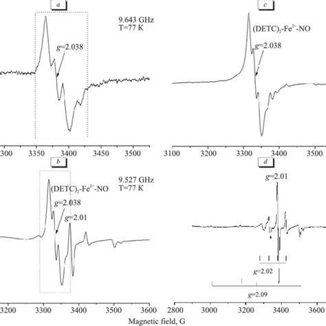 EPR Spectra A EPR Spectrum Of DETC 2 Fe 2 NO Spin Trap In Snail Download Scientific