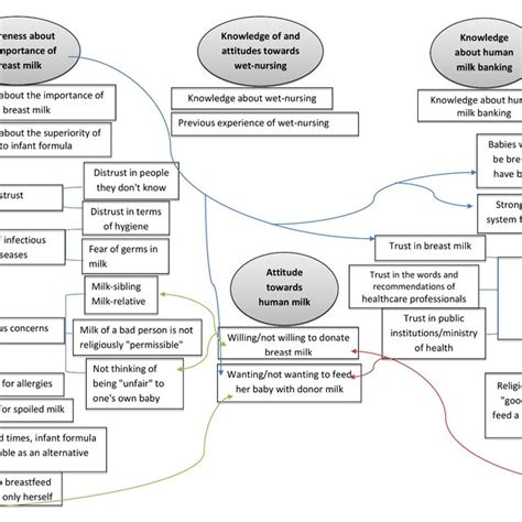 Conceptual Framework For Qualitative Data Download Scientific Diagram
