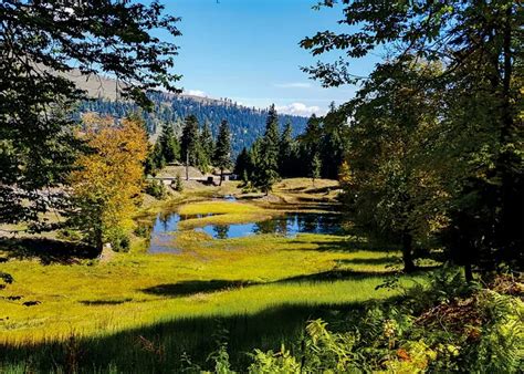 Goderdzi Alpine Botanical Garden Visit Batumi