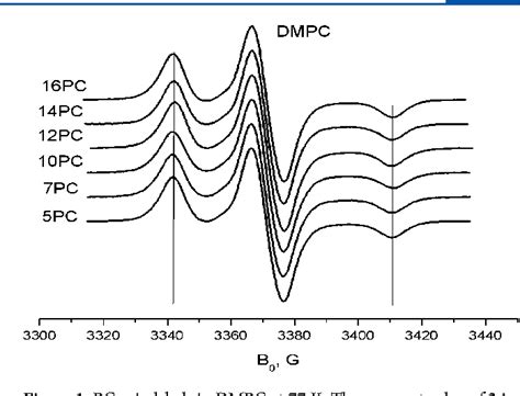 Figure 1 From Conformational Distributions And Hydrogen Bonding In Gel