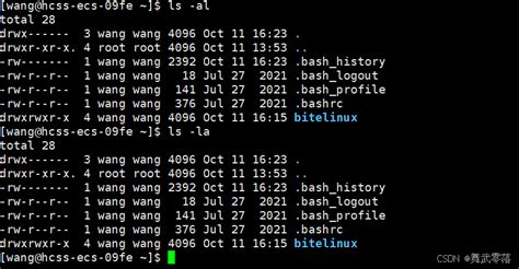 Linux终端之旅：文件与目录管理指令cpoy Csdn博客