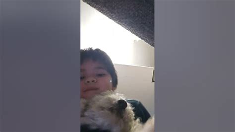 Perro Man Pro Youtube