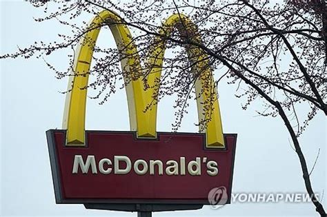 맥도날드 가자 전쟁 여파에 중동지역 매출 타격 나무뉴스