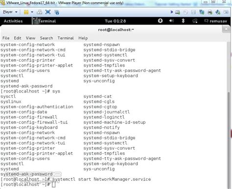 Linux Virtual Machine Activation Of Network Connection Failed