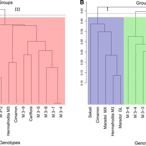 dendrogram of genetic dissimilarity among 15 c papaya genotypes