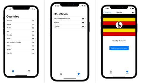 The Application Lists Countries Parsed From Geodb Cities Api And Lets The User See The Details