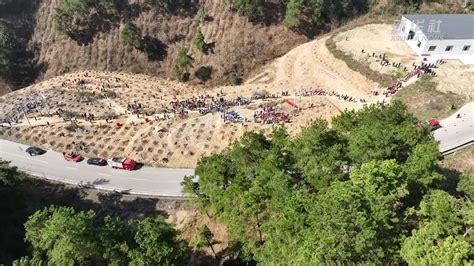 贵州铜仁：同心共建 植树造林惠于民凤凰网视频凤凰网