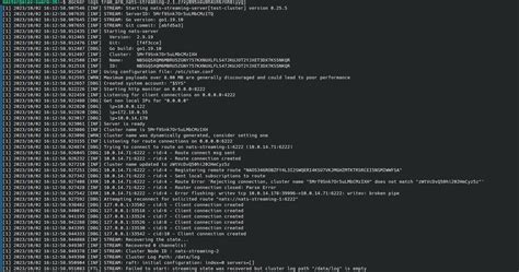 The Third Node Of The Nats Streaming Cluster Does Not Rise In Docker