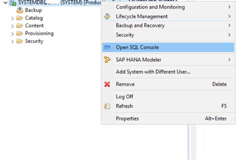 How To List All The Hana Databases For Multi Tenant Databases Sap