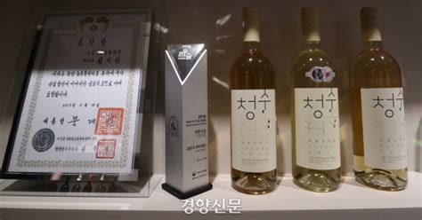 없어서 못 파는 국산 청포도 청수 화이트와인 한국와인 역사 새로 쓰는 대부도 그랑꼬또 와이너리 김형규 기자의 한국 술도가
