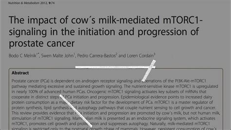 დაბერება და ცხოველური ცილები Youtube