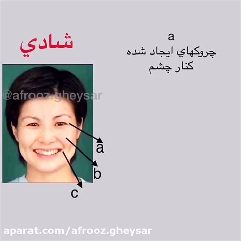 حالات صورت در زبان بدن