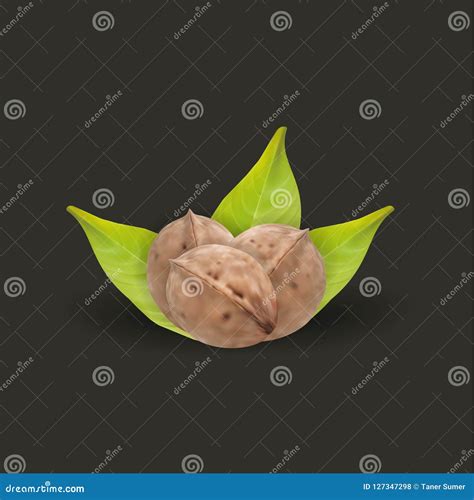 Tree Walnut Icon Simple Glyph Flat Vector Of Tree Icons For Ui And Ux Website Or Mobile