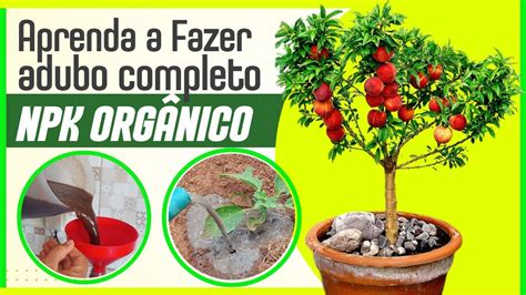 Adubo OrgÃnico Completo Npk Natural Rico E Nutrientes Daniel