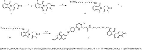 Methotrexate Based Protacs As Dhfr Specific Chemical Probes Cell Chemical Biology