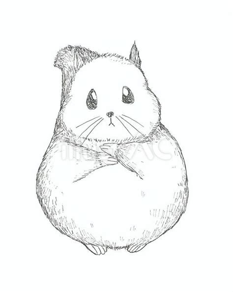 モモンガをイメージした手描きイラストイラスト No 26444207｜無料イラスト・フリー素材なら「イラストac」