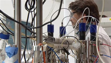 San Diego Lab The Savage Nation