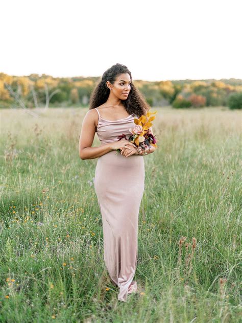 Skye Velvet Dress
