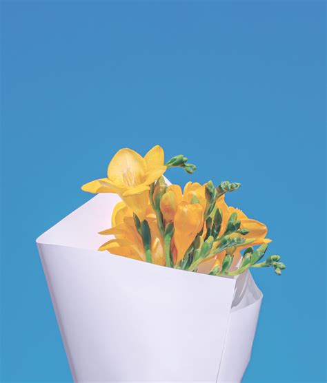 새로운 아이디어를 떠올리고 구체적인 계획을 세워 그것을 실현해 나가는 일은 생각보다 까다롭고 부담스럽게 느껴질 때가 있어 내일이 어떻게 될지 모른다는 불안감이 자꾸 발목을