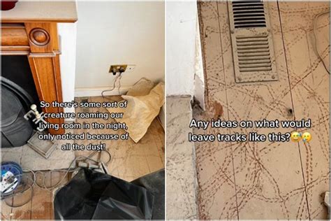 整修自宅驚見「詭異足跡」上網求助 他驚呼：哈利波特劫盜地圖 Ettoday房產雲 Ettoday新聞雲