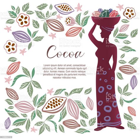 농부 여자는 초콜릿 생산을위한 원료로 사용되는 코코아 포드가 든 바구니를 가지고 다닙니다 코코아 포드로 가득 찬 바구니가있는 피커 코코아 콩 벡터 그림입니다 코코아에 대한