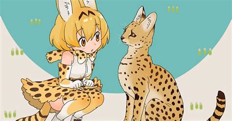 Are You A Serval Cat Too Album On Imgur