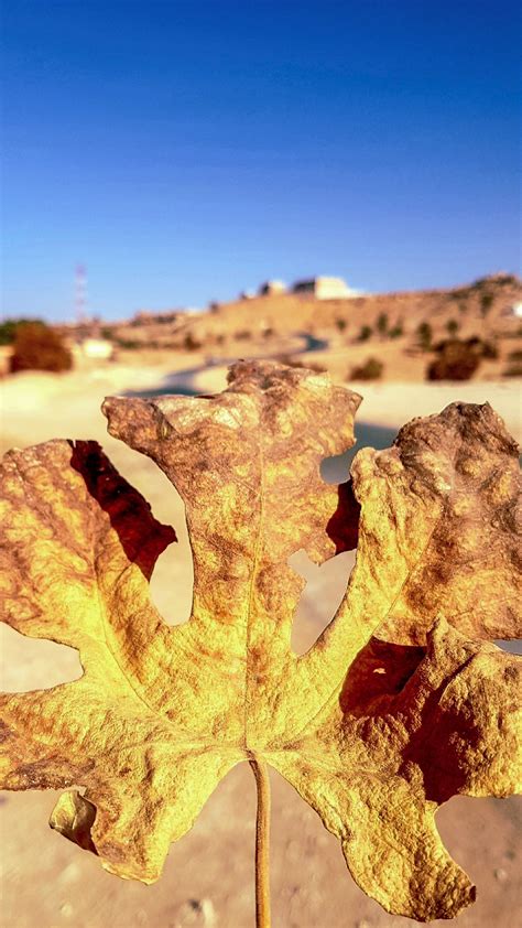 Mohammed Benslimane Photography