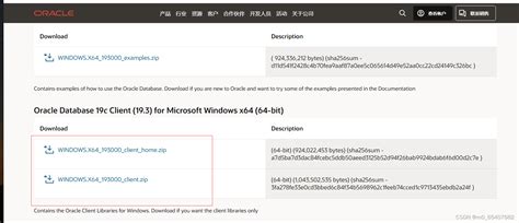 Oracle客户端远程链接oracle服务端报错：ora 28040 No Matching Authentication Protocoloracle 28040 Csdn博客