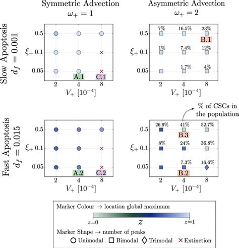 Series Of Phase Diagrams Characterising The Steady State Distribution Download Scientific