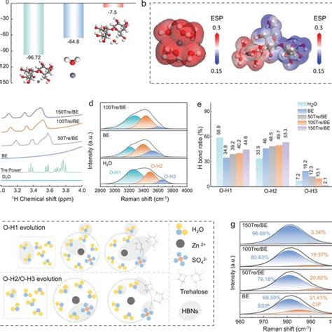 Physiochemical Property Of Trehalose Additive And Solvation Structure