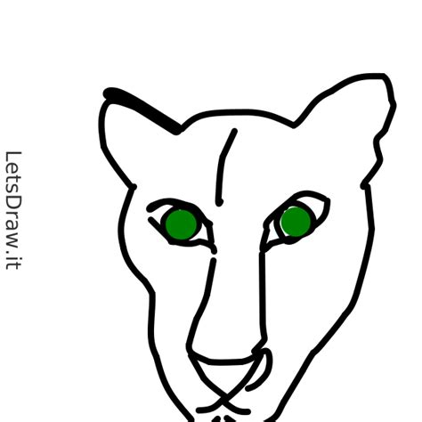 How To Draw Leopard Tm1fr7s3h Png LetsDrawIt How To Draw Leopard Tm1fr7s3h Png LetsDrawIt