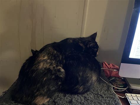 The Laws Of Physics Say Two Objects Can Not Occupy The Same Space Not