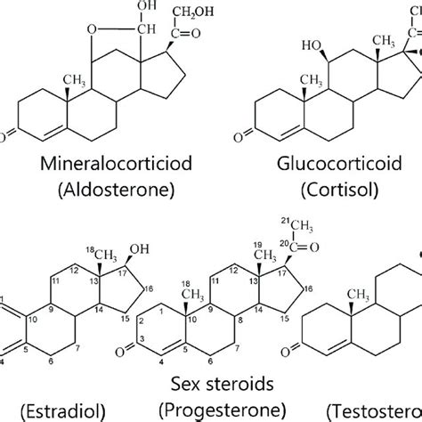 Examples Of The Structures Of Some Synthetic Steroid Hormones In The Download Scientific