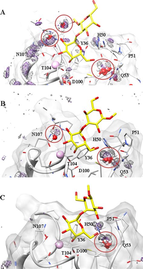 Representation Of The Density Solvent Distribution Of The First Water Download Scientific